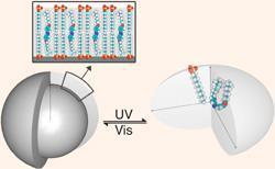 PhotoBasics: Types, Principles, and Applications of Light-Sensitive ...